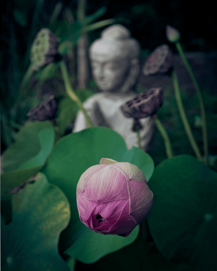 7 effektive Schritte bei Gehirnnebel I Podcast - Serum Oleum